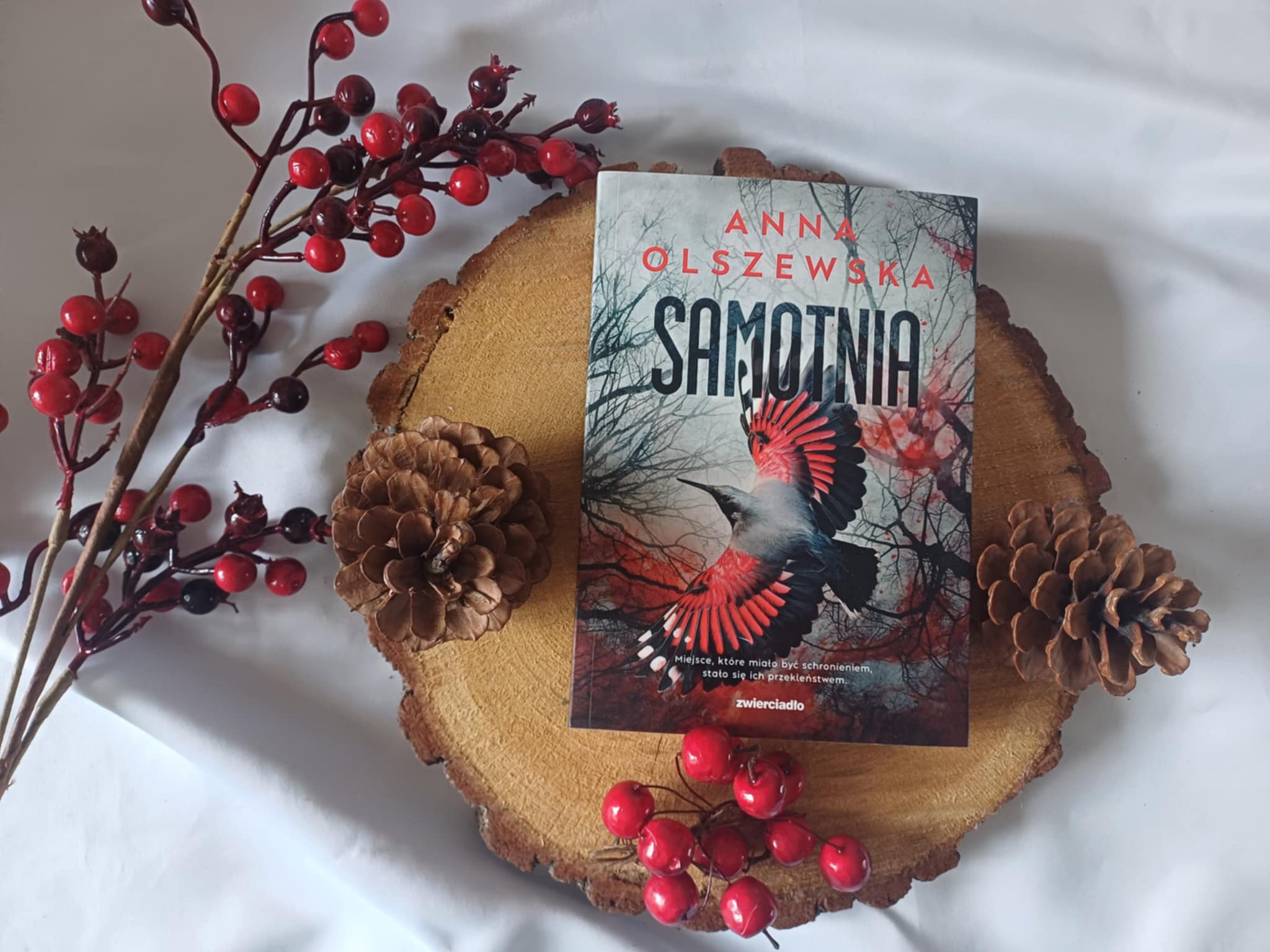 „Samotnia” Anna Olszewska | Słoneczna Strona Życia